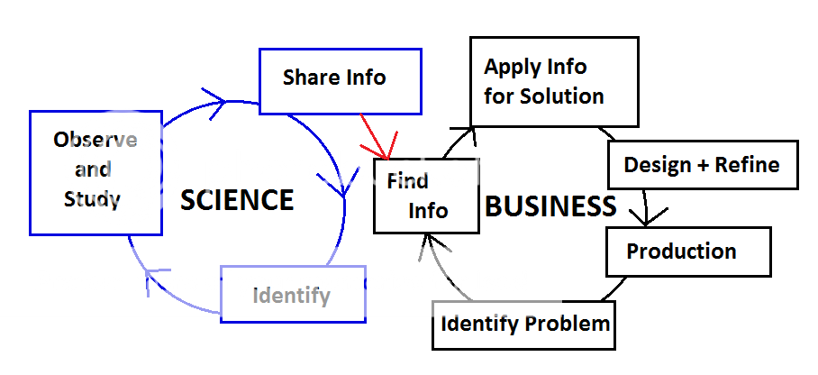 The Process and Problems of Biomimicry | Biomimicry